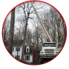 Tree Safety Checklist | All American Tree and Stump Removal